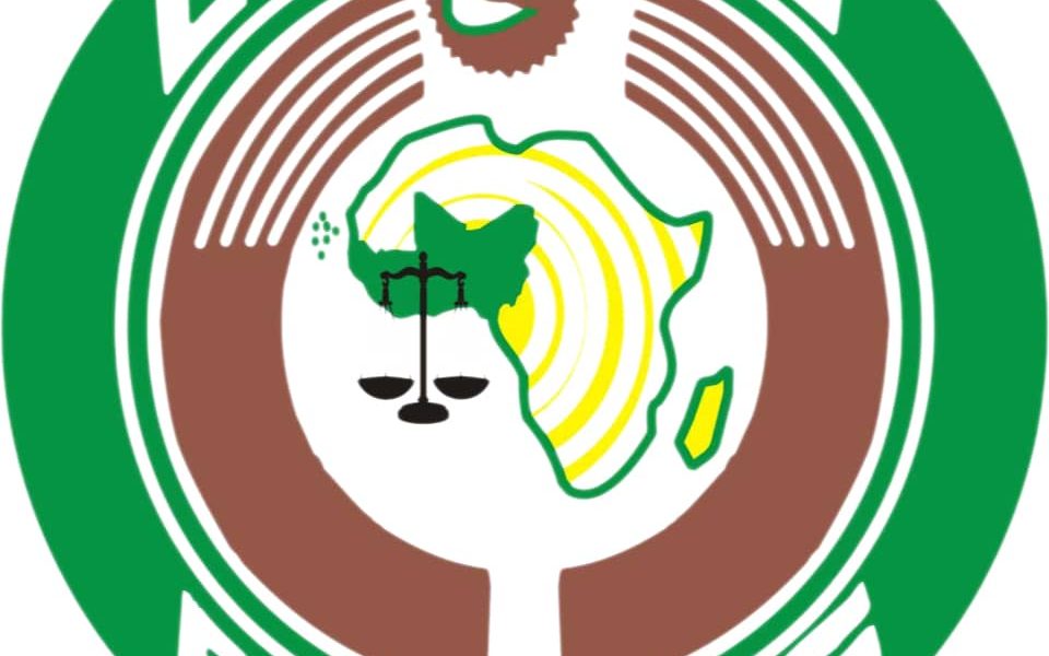 ECOWAS Court Declares Case Brought by Two NGOs for Alleged Violations ...