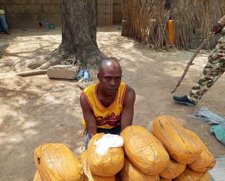 Army trolls in Adamawa arrest major drug supplier to terrorists - News ...